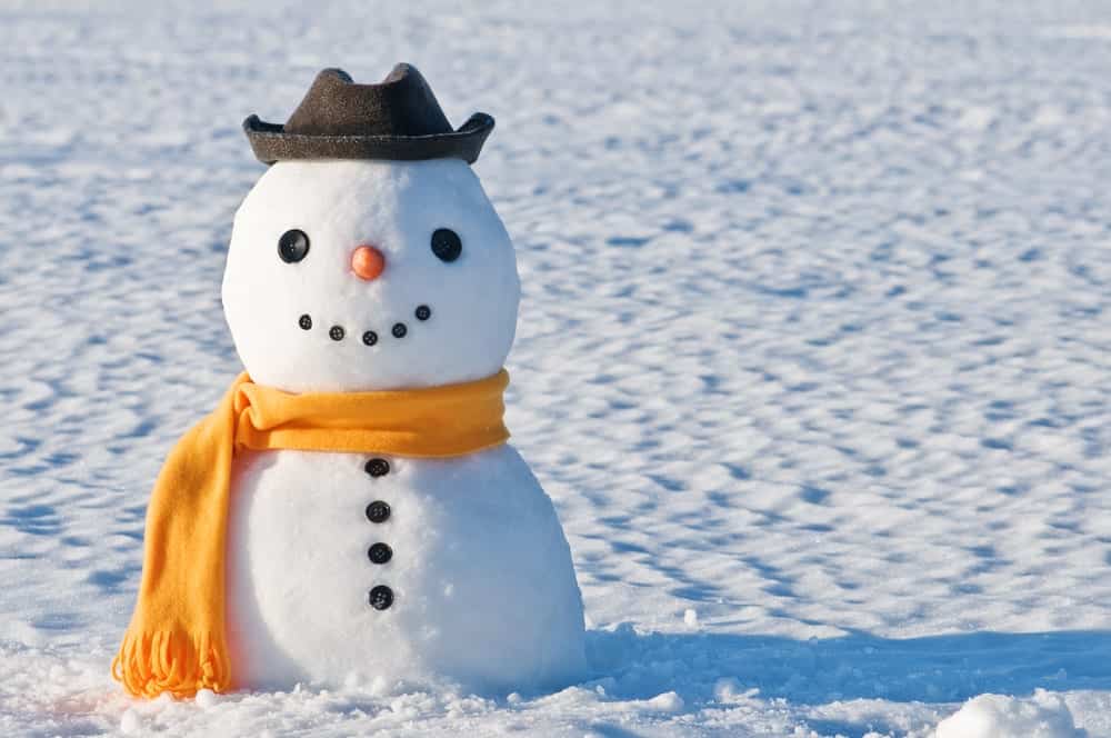 6 Reasons to Visit Pigeon Forge Snow Near Our Sevierville Hotel